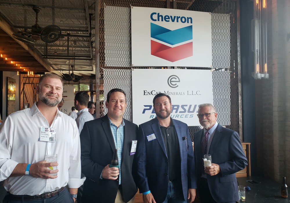 Houston Oil and Gas NPO, Petroleum and Natural Gas